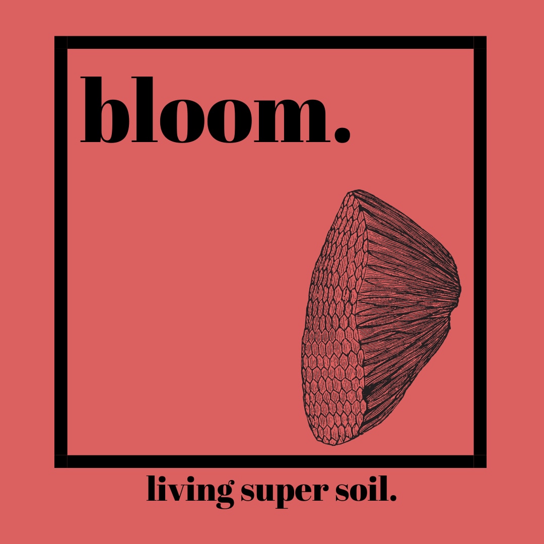 Tilth Bloom by Rust Belt Riders Super Soil
